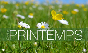 CyberCartes Cartes de Voeux Cartes Virtuelles Gratuites