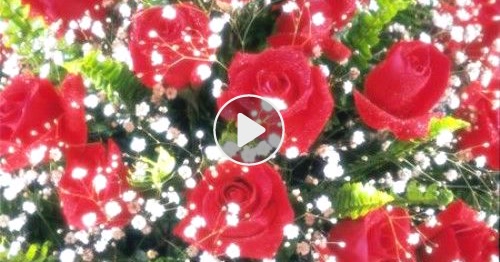 Carte Rose et gypsophile - CyberCartes.com