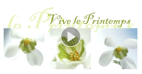 Carte Vive le Printemps - CyberCartes.com