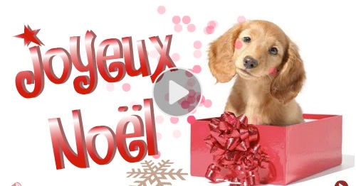 Carte Joyeux Noël - Chien - CyberCartes.com